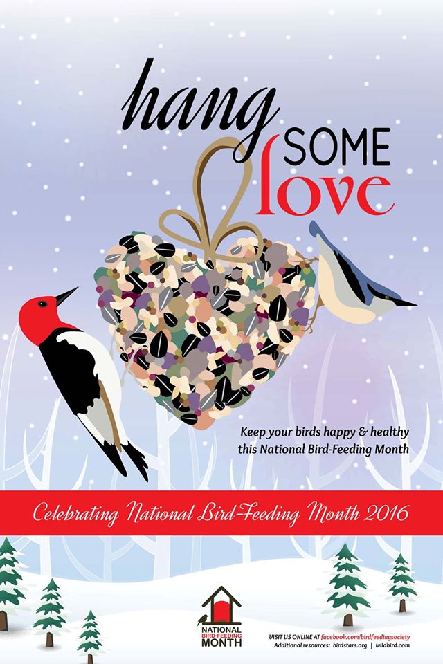 Do you know why February is National Bird-Feeding Month? - Happy ...